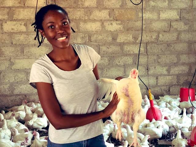 Learning Hub - Muku's Poultry Farm