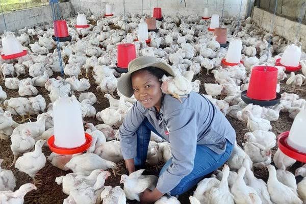 Learning Hub - Muku's Poultry Farm
